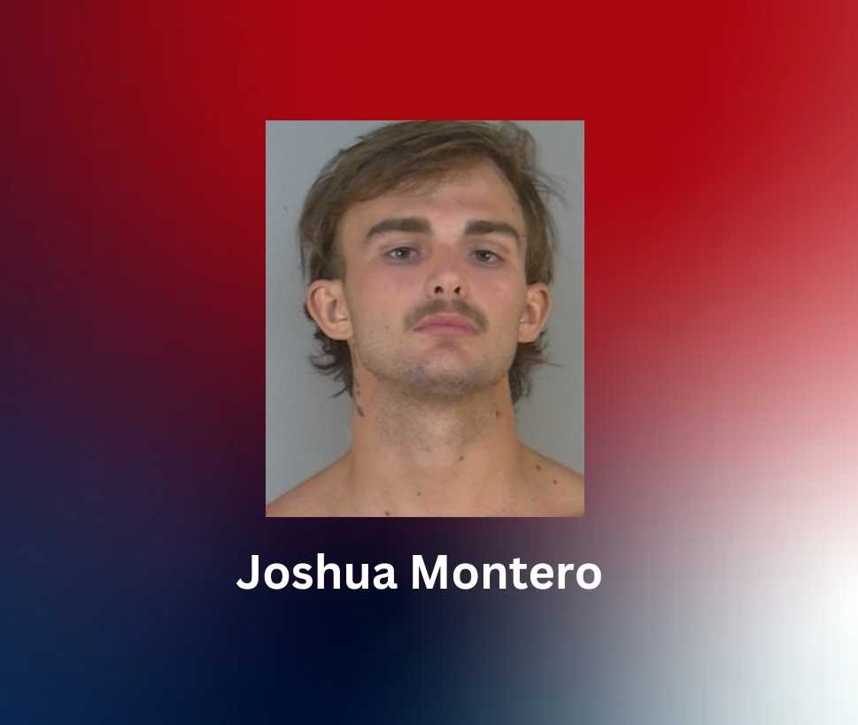 More details released in DUI manslaughter of Tavares toddler ...