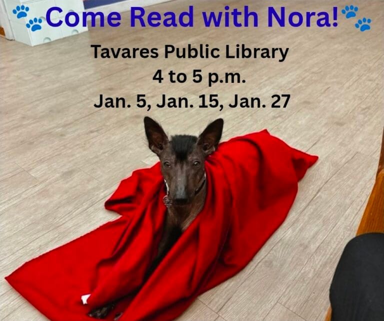 Police therapy dog Nora brings storytime to Tavares library - Inside Lake